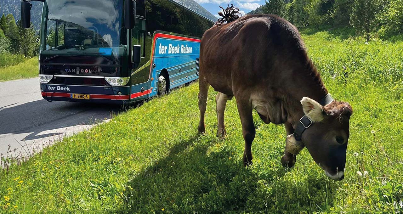 Ter Beek Reizen: Busreizen Dagtochten Vakanties Groepsreizen